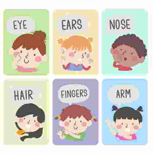 Free Speech Therapy Flashcards & Worksheets for Toddlers, Children’s ...