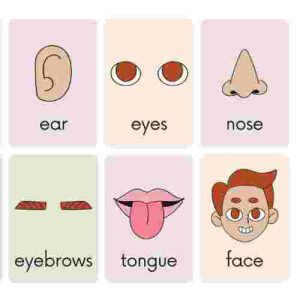 Free Speech Therapy Flashcards & Worksheets for Toddlers, Children’s ...