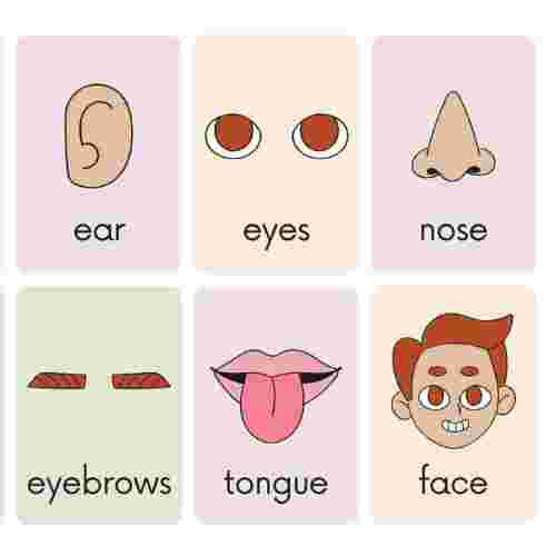 Free Speech Therapy Flashcards & Worksheets for Toddlers, Children’s ...