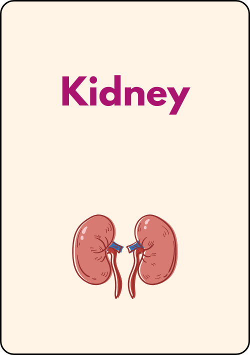 D Medial Sound Words Speech Therapy Game | AutisticHub