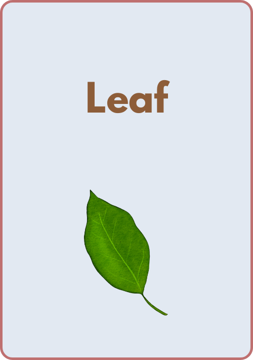 F Final Sound Words Speech Therapy Game | AutisticHub