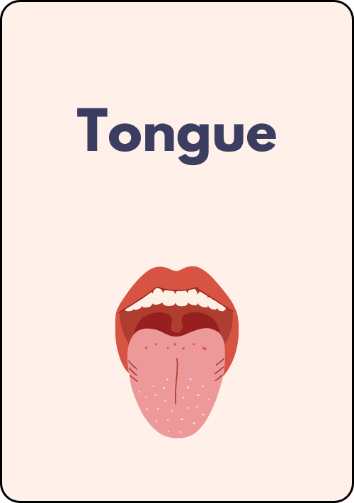 T Initial Sound Words Speech Therapy Game | AutisticHub
