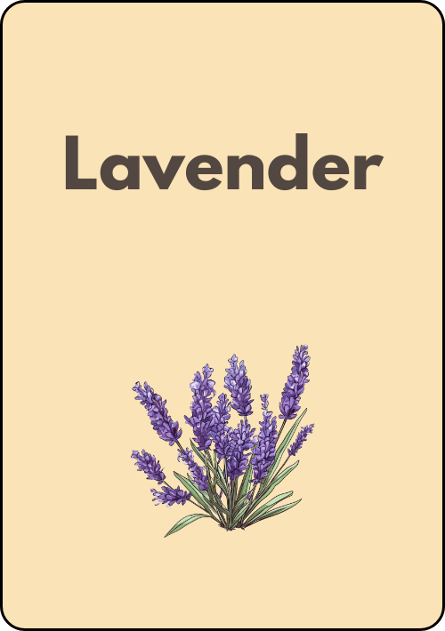 V Medial Sound Words Speech Therapy Game | AutisticHub