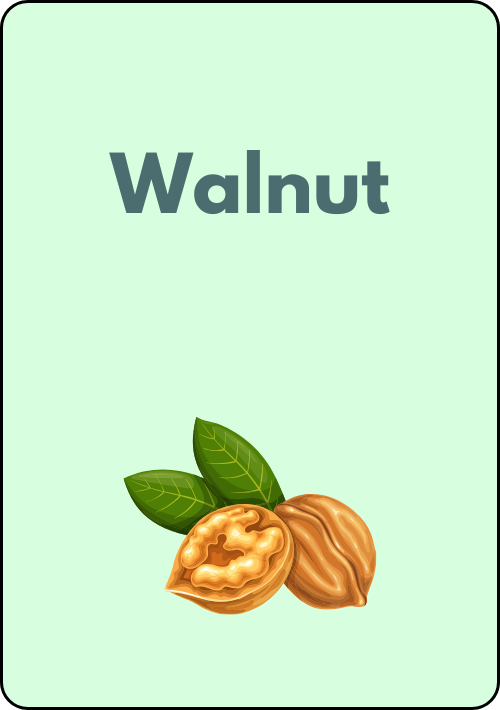 W Initial Sound Words Speech Therapy Game | AutisticHub