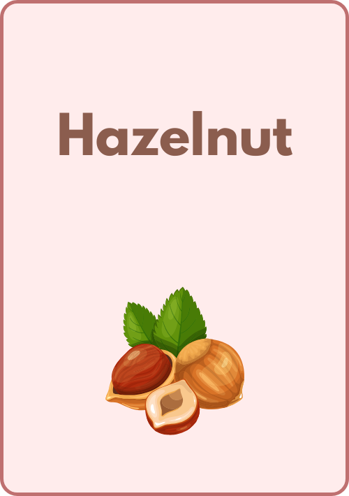 Z Medial Sound Words Speech Therapy Game | AutisticHub