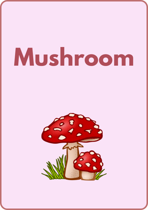 Sh Medial Sound Words Speech Therapy Game | AutisticHub