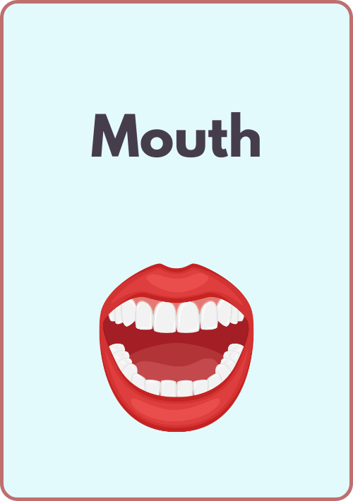 Th Final Sound Words Speech Therapy Game | AutisticHub