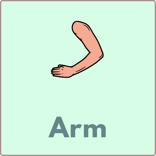 Letter A Words Memory Game | AutisticHub