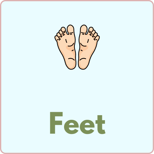 Letter F Words Memory Game | AutisticHub