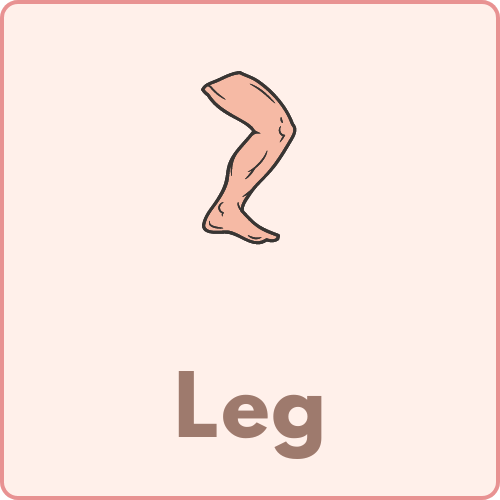 Letter L Words Memory Game | AutisticHub