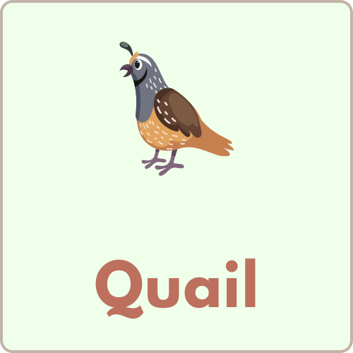 Letter Q Words Memory Game | AutisticHub