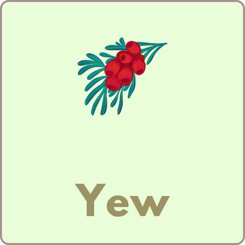 Letter Y Words Memory Game | AutisticHub