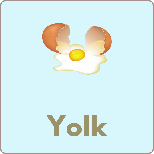 Letter Y Words Memory Game | AutisticHub